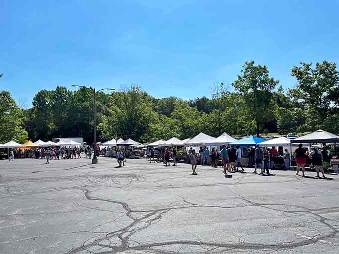 The whole market spread out under blue skies, where Saturday mornings become the highlight of your entire week, guaranteed.