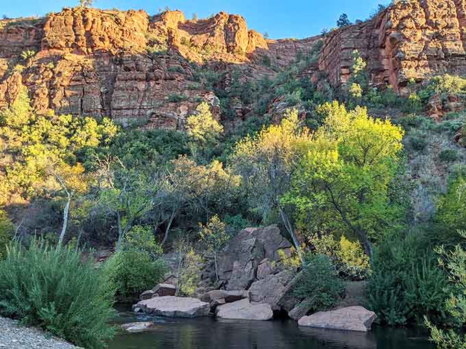 Morning light filters through sycamore branches while the creek flows peacefully, creating the perfect start to any desert adventure.