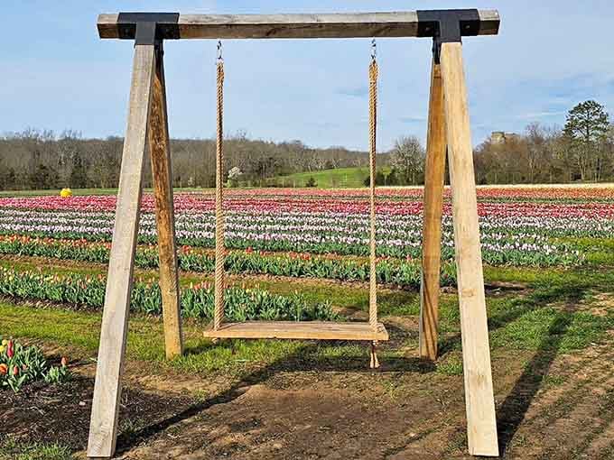 The perfect Instagram swing with a view that'll make your followers question why they're still sitting indoors.