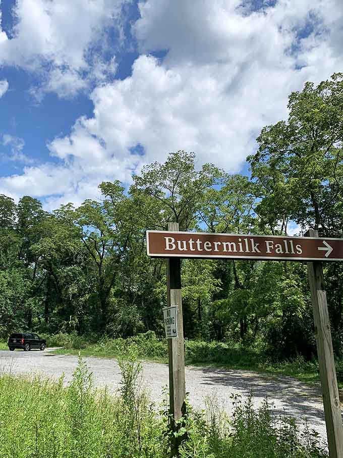 Follow the arrow to discover what might just become your new favorite spot in all of New Jersey.