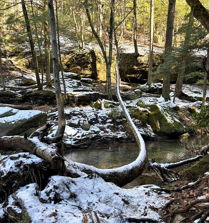 Winter transforms the landscape into a quieter, more contemplative version of its summer self.