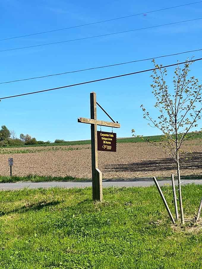 Simple wooden signs pointing to extraordinary places: sometimes the best destinations don't need fancy billboards to impress.