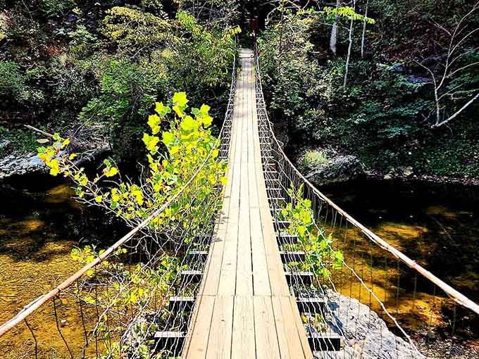 This swaying footbridge over the creek adds just enough adventure to your hike without requiring actual mountain climbing skills.