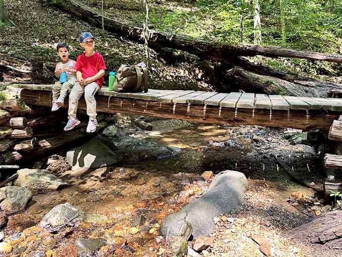 Wooden footbridges cross smaller streams, adding charming touches that make you feel like you're in a storybook.