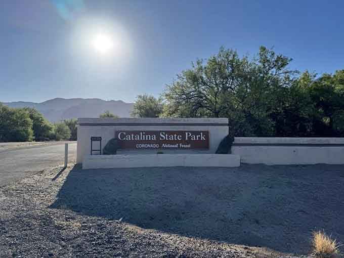 Welcome to your new favorite escape, where the mountains meet the desert and crowds become distant memories.