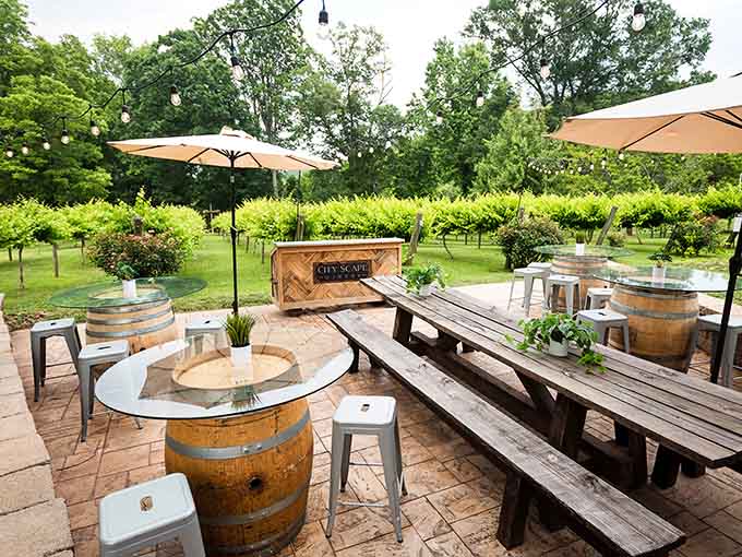 Outdoor seating with vineyard views, because drinking wine while looking at where wine comes from just makes sense.