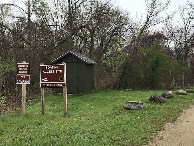 Sturgeon Lake access points offer peaceful fishing spots where the biggest decision is which lure to try next.