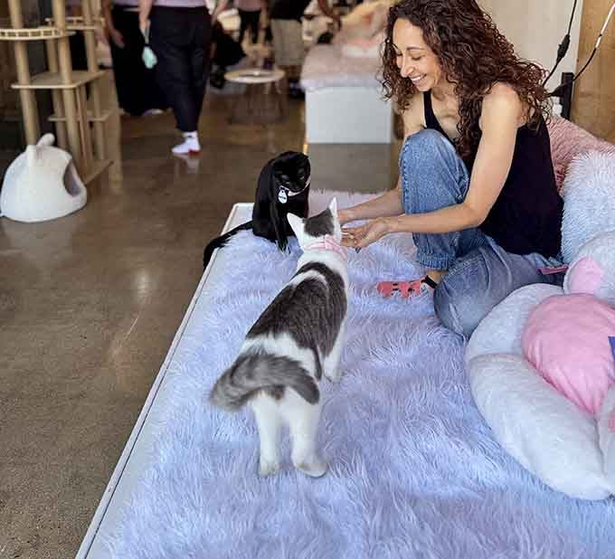 Pure joy captured: a visitor surrounded by curious cats, experiencing exactly what this magical place promises to deliver.