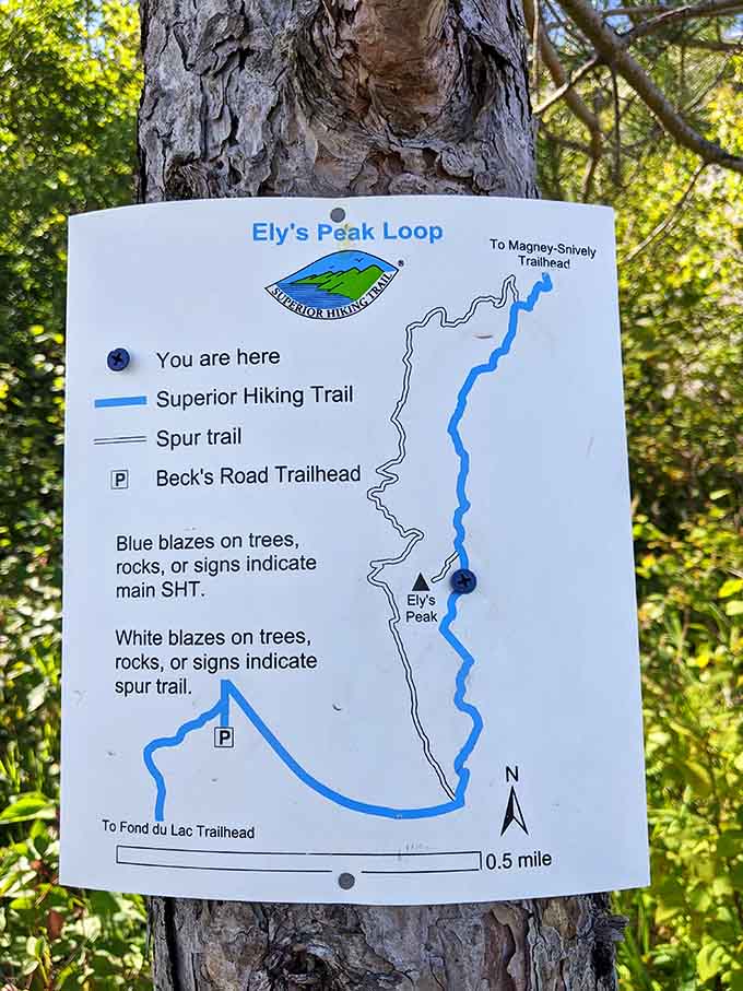 The Superior Hiking Trail map shows you're standing at the gateway to serious North Woods adventure.