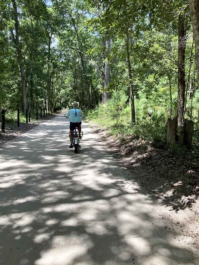 Shaded bike paths wind through maritime forests, inviting you to explore at a pace that actually lets you notice the world.