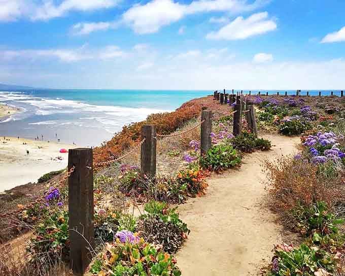Purple blooms leading to blue waters, because Del Mar's natural landscaping puts most gardens to shame.