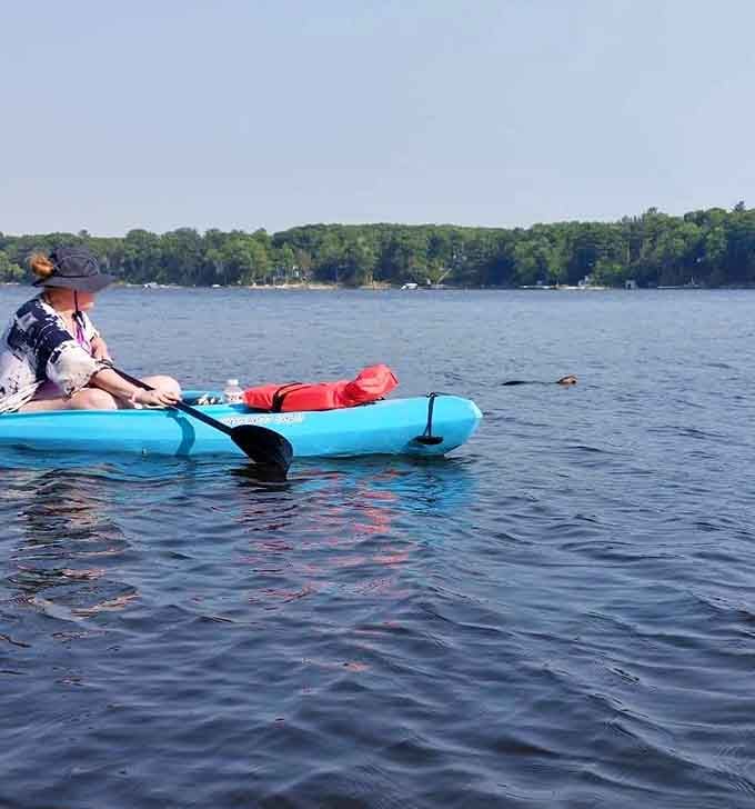 Kayaking these calm waters beats any gym membership, with significantly better scenery and wildlife encounters.
