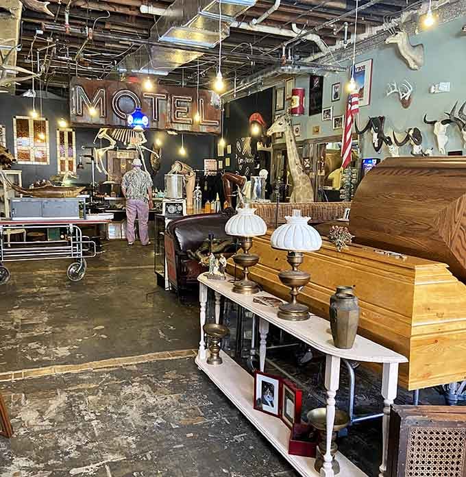 The sprawling interior reveals layer upon layer of oddities, creating a treasure hunt atmosphere that rewards patient exploration thoroughly.