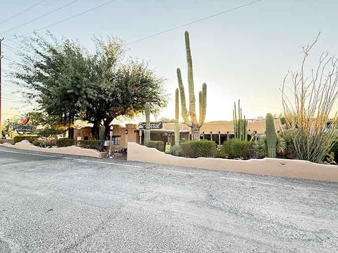 Towering saguaros and desert landscaping frame the restaurant, reminding you this is authentically Arizona through and through.