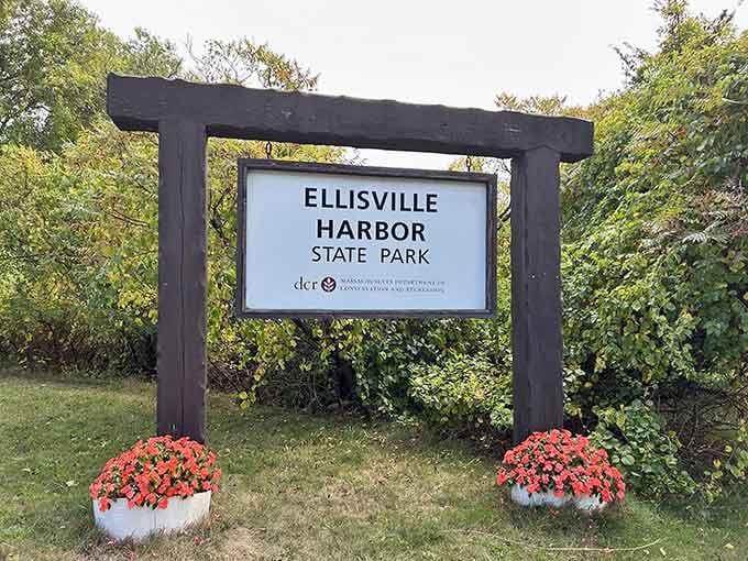 Welcome to your new favorite escape, where autumn flowers greet visitors at the gateway to coastal paradise and tranquility.