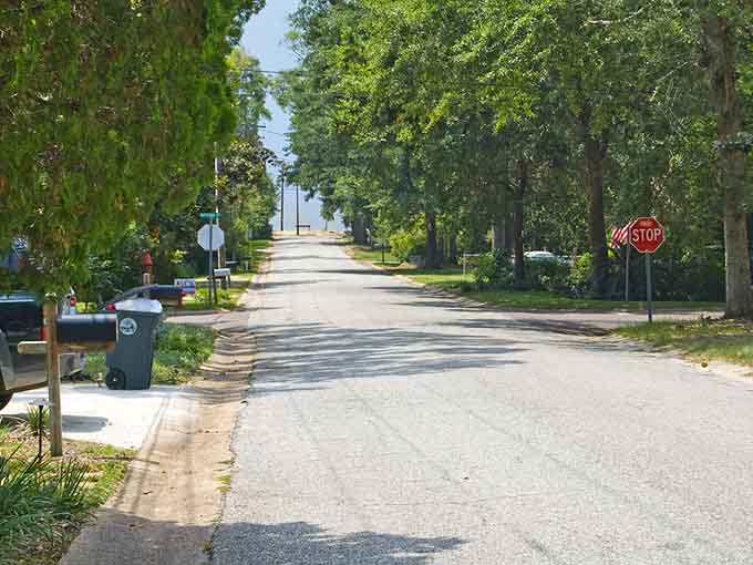 Tree-canopied streets where the bay waits at the end like a reward for taking the scenic route.