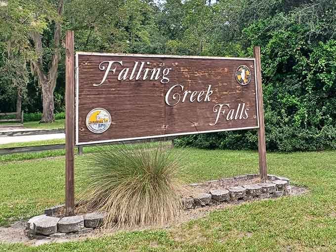 You've arrived at one of Florida's best-kept secrets, where waterfalls actually exist despite what everyone told you.