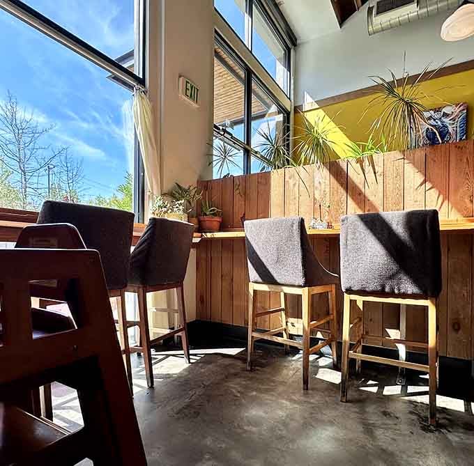 Window seating that catches the light perfectly, ideal for contemplating life's big questions over bottomless mimosas.