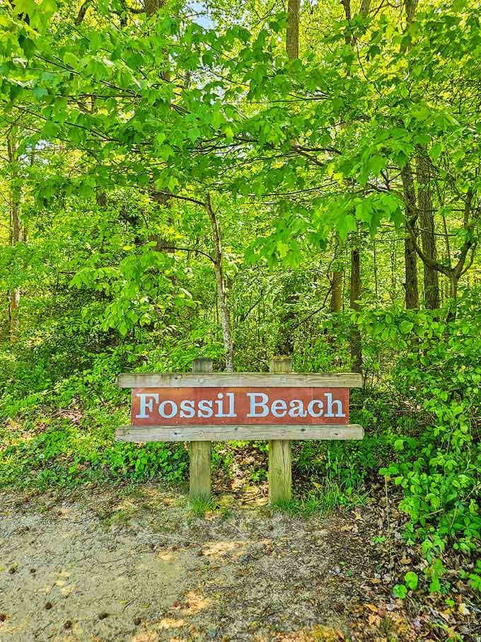 The simple wooden sign marks the entrance to adventure, understated like all the best discoveries hiding in plain sight.