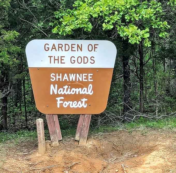 That classic Forest Service sign marks your arrival at one of Illinois' best-kept secrets, hiding in plain sight.