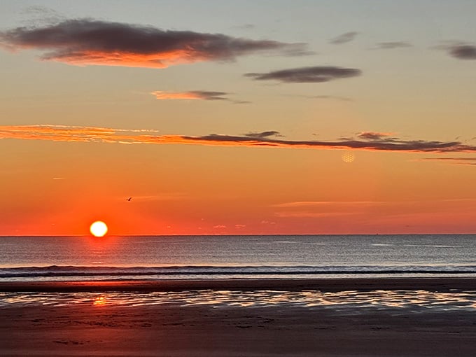 This sunset paints the sky in shades of orange and gold that no filter could ever improve or replicate.