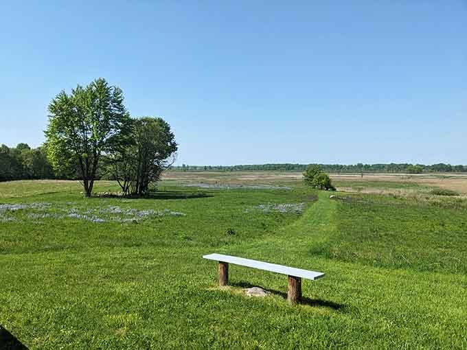 A simple bench overlooking endless wetlands&mdash;sometimes the best seats in the house are the quietest ones.