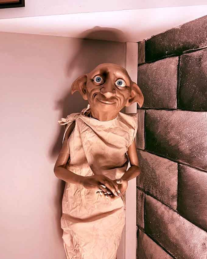 Dobby's expression perfectly captures how you'll feel discovering each new magical detail throughout this incredible space.