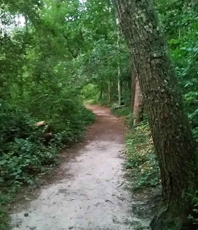 Hiking trails wind through the woods, offering land-based adventures when you've had enough of being waterlogged.