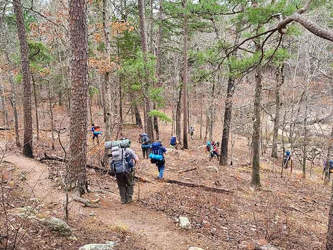 Backpackers descending through winter woods, proving adventure season never really ends at Hawn State Park.