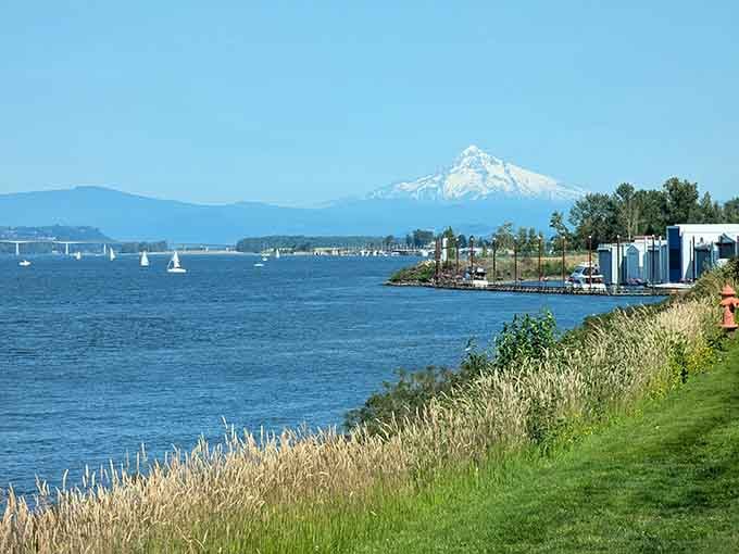 Mount Hood watches over the island like a snow-capped guardian, reminding visitors they've found something truly special.