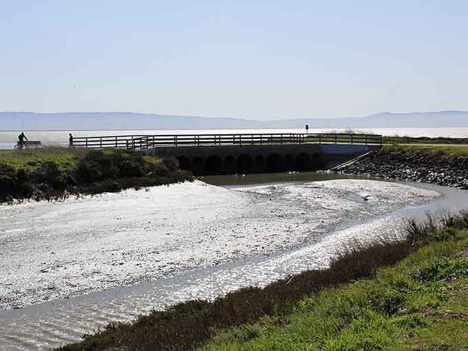 Hayward Regional Shoreline where bay views come free with your afternoon walk instead of your retirement savings.