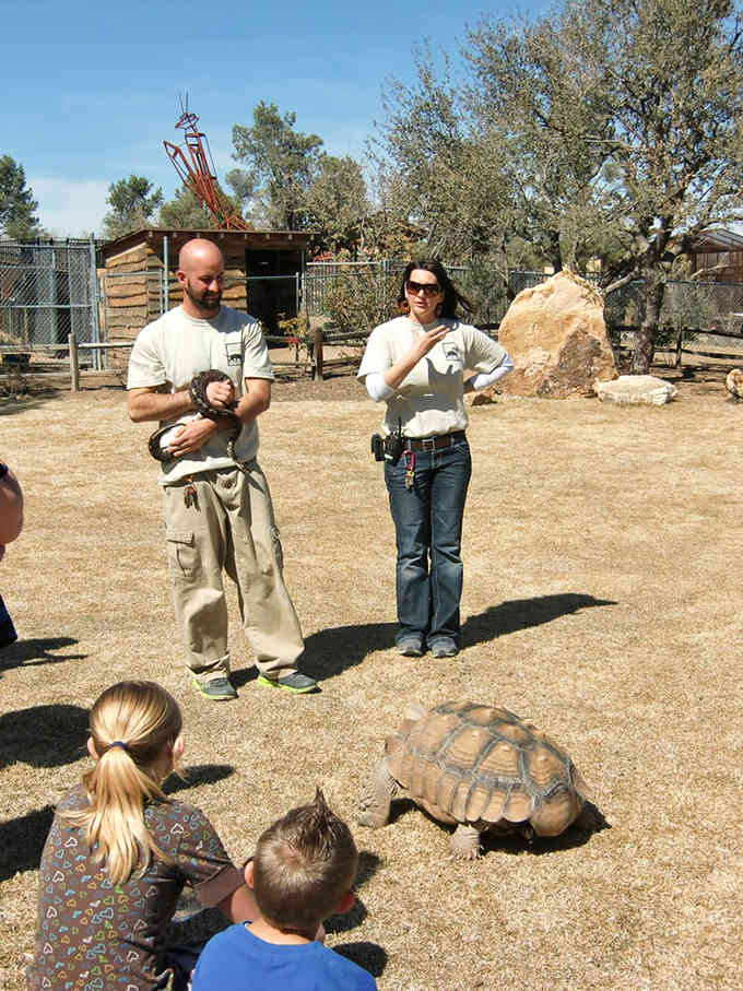 Educational tours with actual tortoises beat virtual learning every single time, especially when kids can ask unlimited questions.