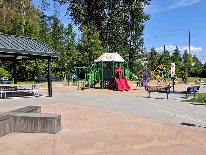 A playground for the little ones who aren't quite ready for aerial courses but still need burning energy.