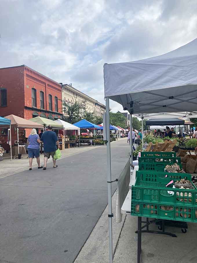 The Farmers Market brings together local growers and hungry shoppers in the timeless dance of commerce and fresh produce.