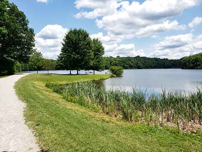 Hudson Springs Park's lake reflects the sky like nature's own mirror, minus the bathroom lighting concerns.