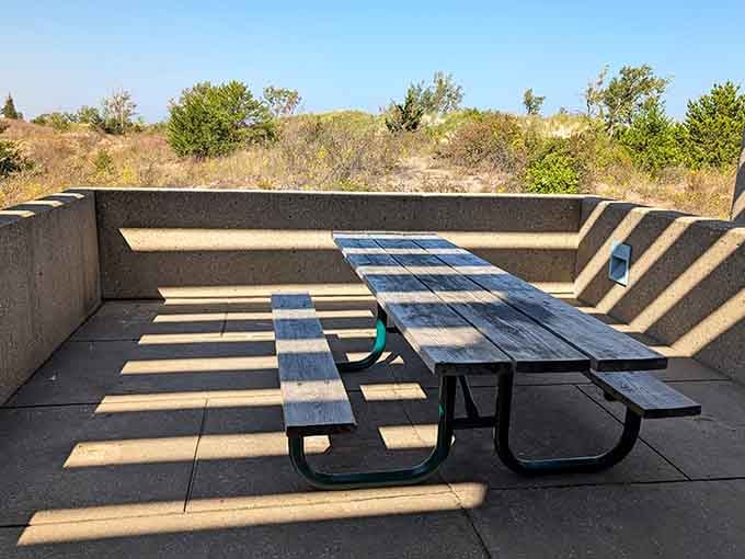 Picnic table with a view, because lunch tastes better when sand dunes provide the backdrop.