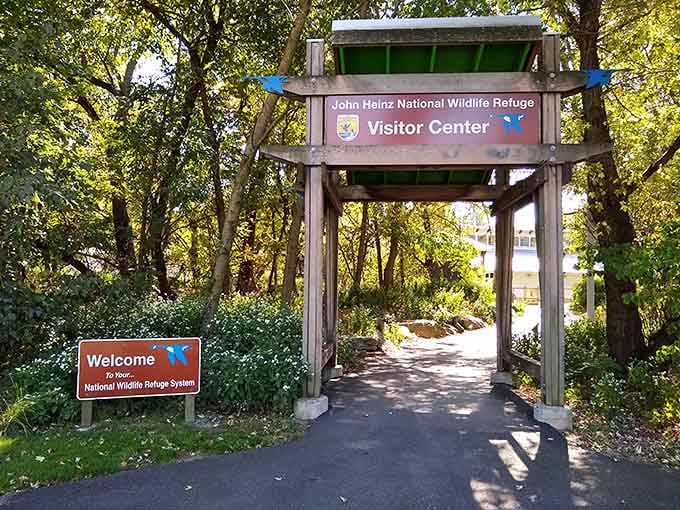 The visitor center gateway beckons explorers into wetlands where nature refuses to follow city planning rules.