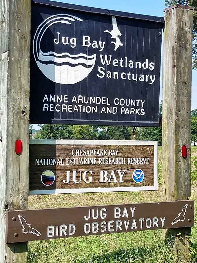 Welcome signs point the way to one of Maryland's best-kept secrets and a designated research reserve.