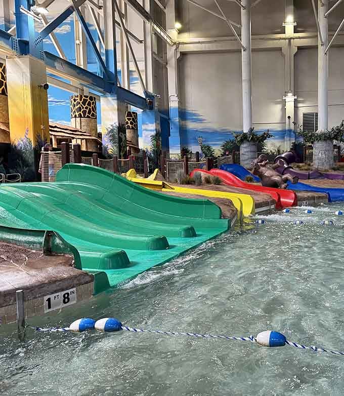 Racing slides settle family disputes the old-fashioned way: whoever gets to the bottom first wins bragging rights forever.