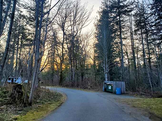 Paved paths through paradise, proving accessibility and natural beauty aren't mutually exclusive concepts after all.