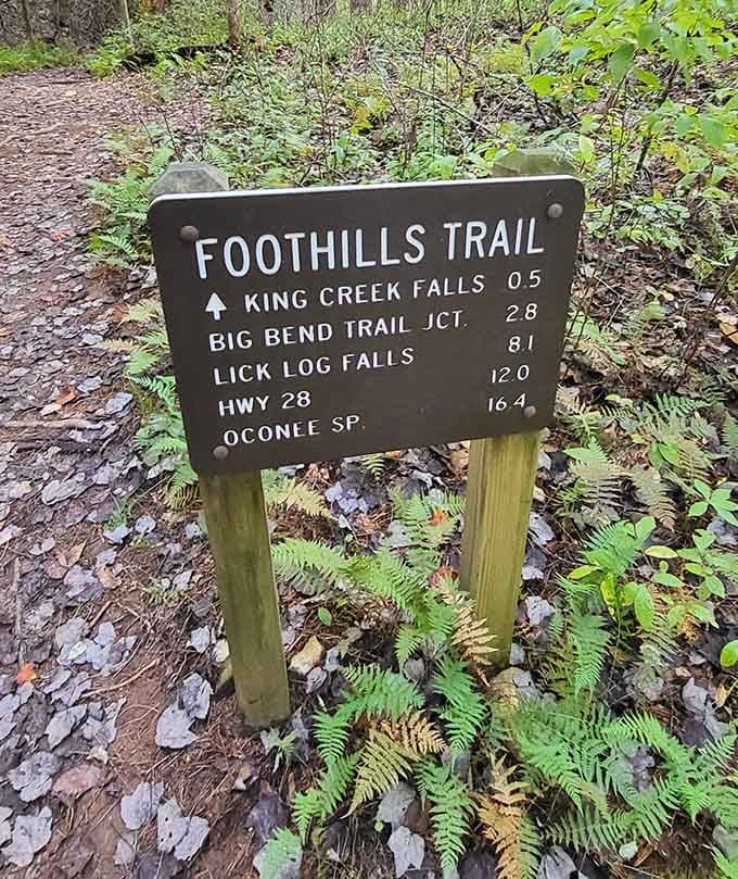 Half a mile to waterfall paradise, because the best things in life require at least a little effort and proper footwear.