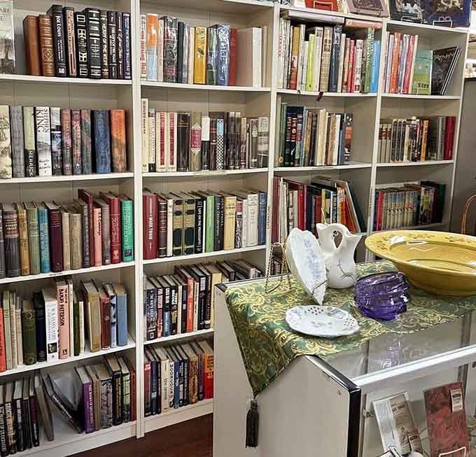 Book collections like these remind us that knowledge and stories once required actual shelf space.