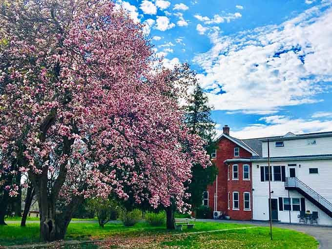 Spring blooms frame the property beautifully, adding seasonal color to an already picture-perfect farm setting.