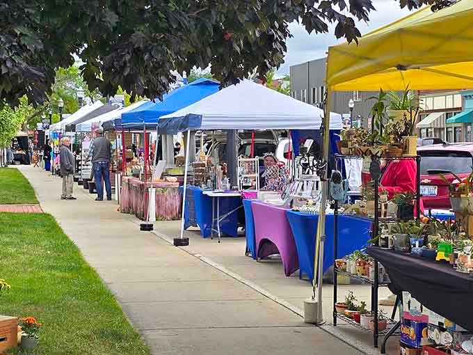 The farmers market brings local vendors together, offering fresh produce and that increasingly rare thing called actual human interaction.