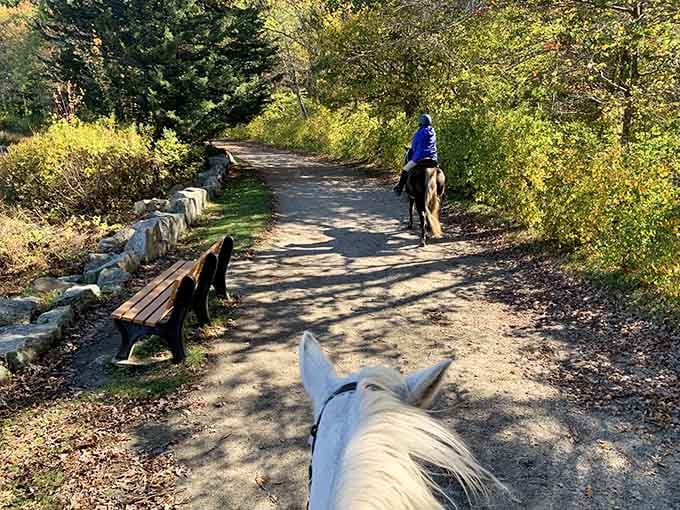 Equestrian-friendly trails mean you might share the path with horses, adding unexpected charm to walks.