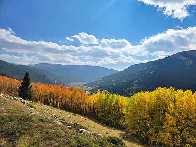 Fall colors blanket the hillsides in orange and gold, making every view look like a screensaver come to life.