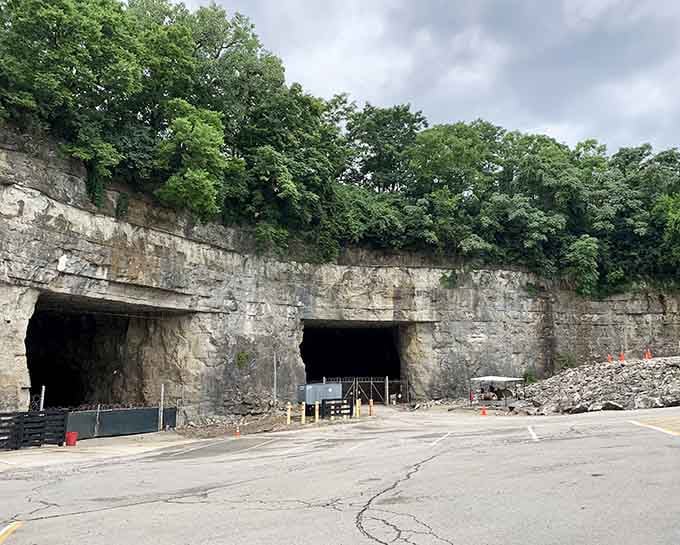 Multiple cave entrances beckon from the limestone cliff. Choose your portal to adventure, they all lead to awesome.