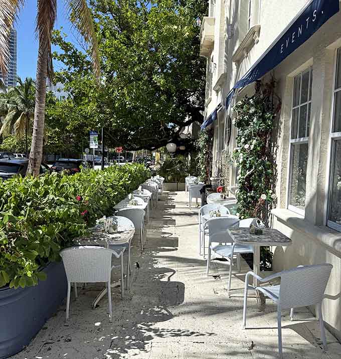 Outdoor seating where you can pretend you're in Paris while palm trees gently remind you that you're definitely not.