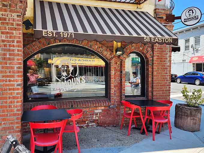 Outdoor seating with bright red chairs invites you to enjoy your falafel while watching New Brunswick go by.