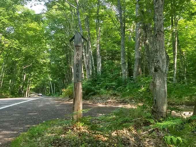 A simple birdhouse marks the spot where civilization once thrived, now reduced to providing shelter for creatures much smaller than intended.
